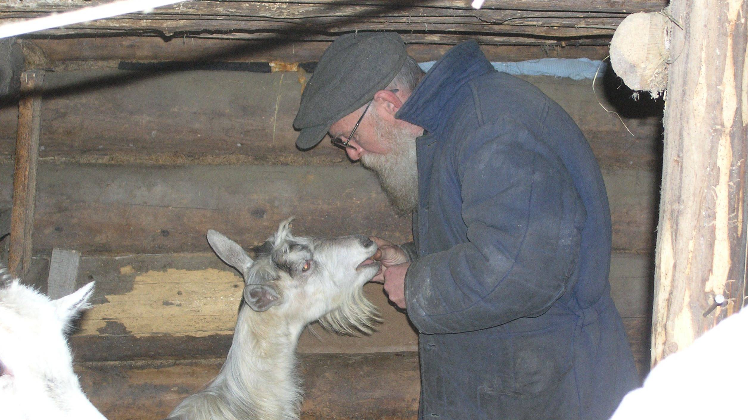 Рассказы Чудинова про коз и зеков,