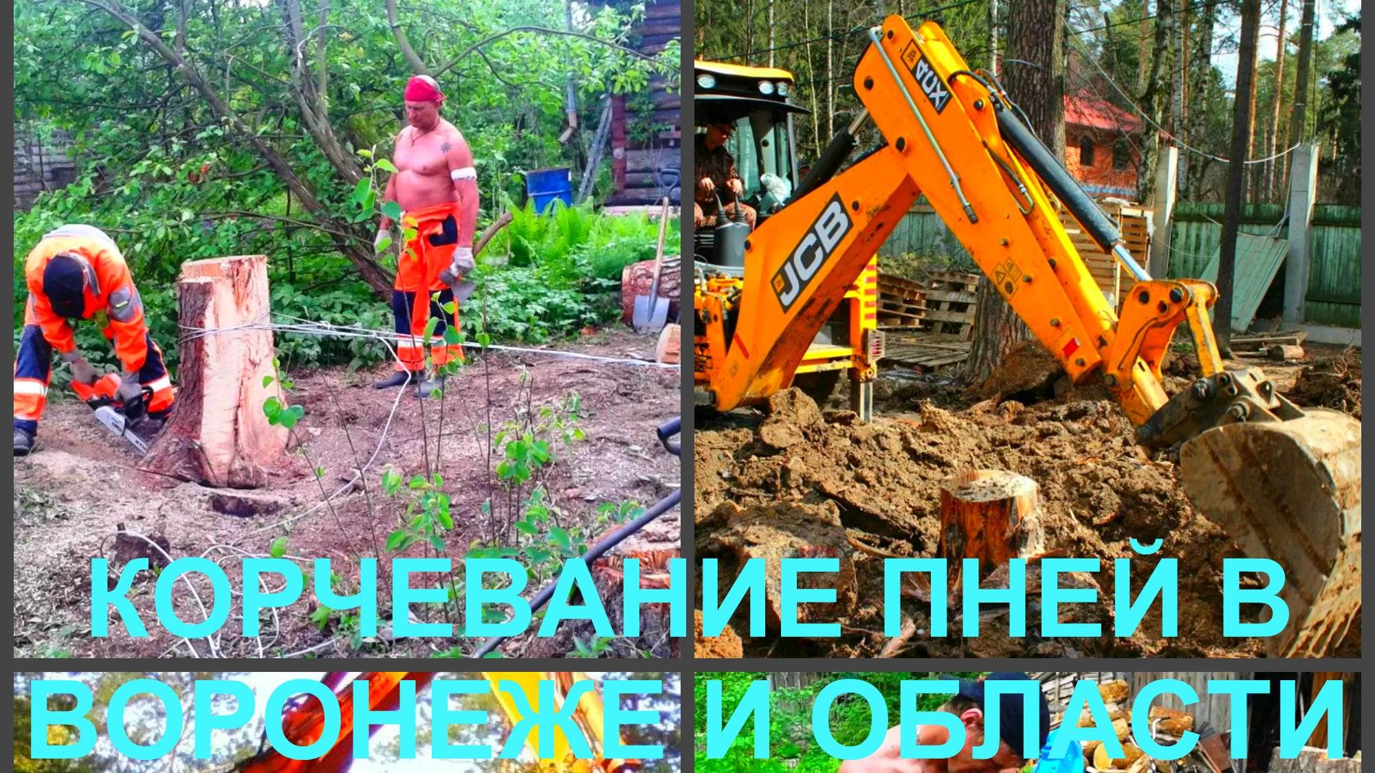 Корчевание Воронеж, корчевание пней в Воронеже