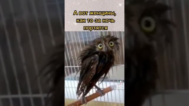 17 июля 2023 г.