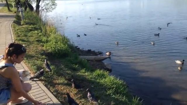 Альбина кормит уток 2015