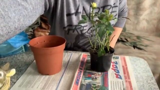 Машинка работает) Дела идут)