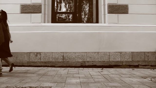 Черно- белая версия клипа Палладио