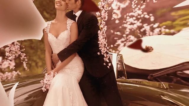 Свадебный проект Роза