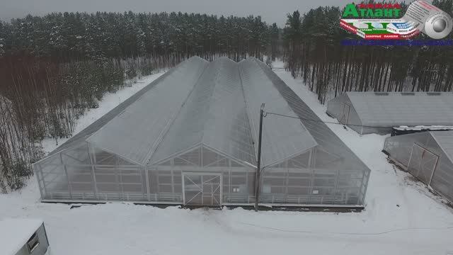 Промышленные и фермерские теплицы Атлант зимние условия эксплуатации блочных теплиц из поликарбоната