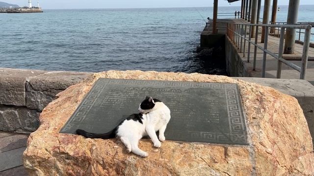 Ялта. Набережная им.Ленина. Кот-основатель))). Краснов и Пуговкин. 26.09.2024. Крым. Crimea. Yalta.