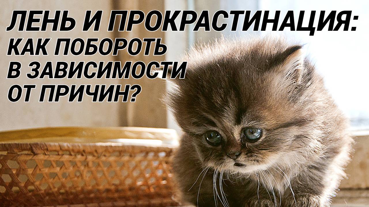 Как быстро побороть лень и прокрастинацию? Причины лени и прокрастинации!