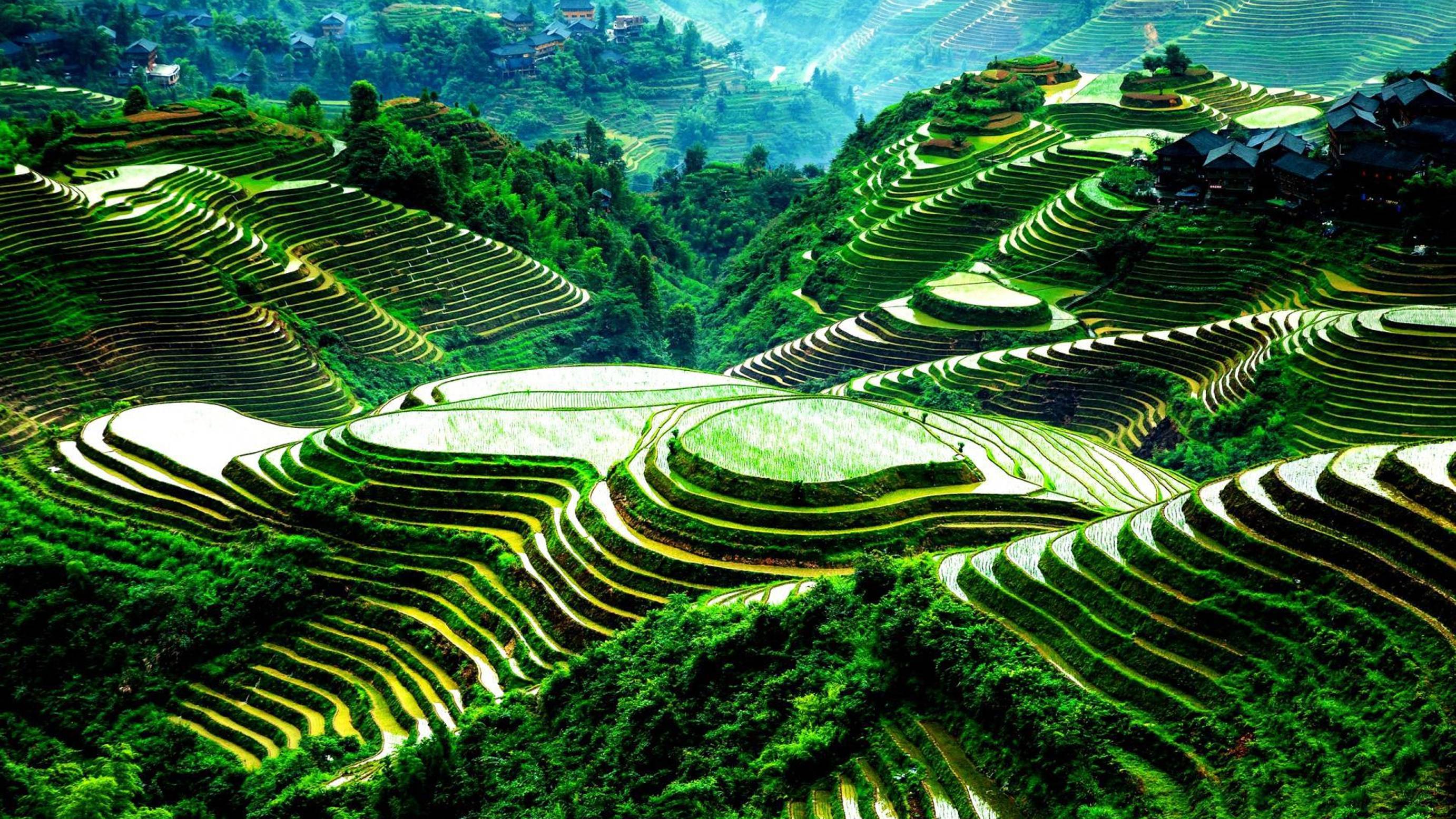 Рисовые террасы в Филиппинских Кордильерах.