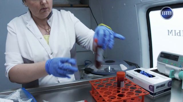 Скорая помощь для животных