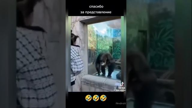 обезьяна ржака