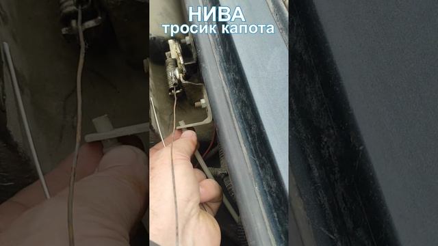 тросик капота НИВА