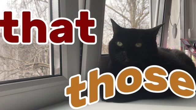 Указательные местоимения (this, that, these and those)