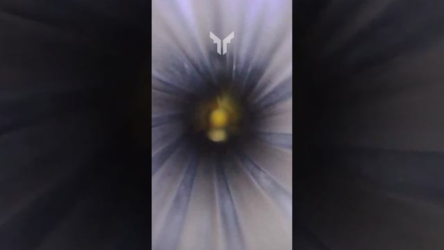 Ataman M2R LW - чок, нарезы