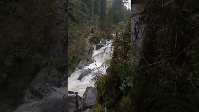 И еще пороги...