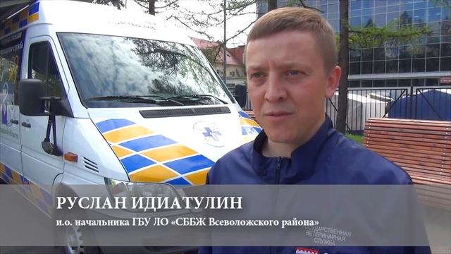 Сельскохозяйственная ярмарка под ветеринарным контролем