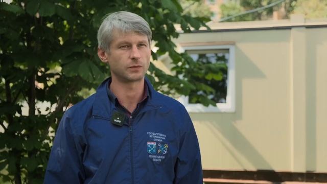 Коротко о ветеринарном: как защитить питомца от клещей