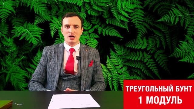Треугольный бунт: 1 модуль
