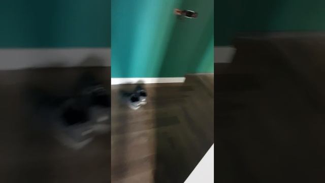 Монтаж сантехнических приборов в квартире.