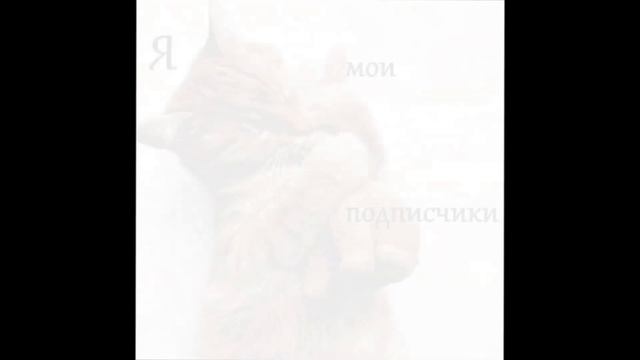 Я и мои подписчики. Ты ещё не подписан? Быстрей подписывайся!