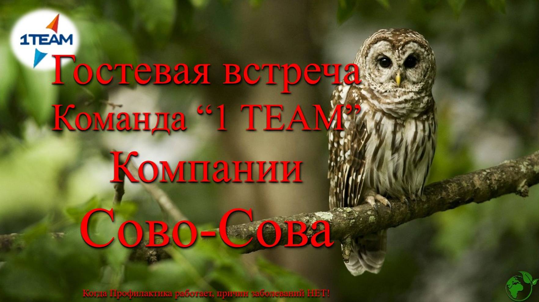 Гостевая встреча  Команды 1TEAM. Продукция, промоушен, возможности. Г. Нафикова. 25.10.2022