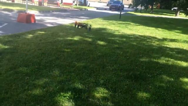 Проект 'Квадрокоптер' на базе платы Трекдуино