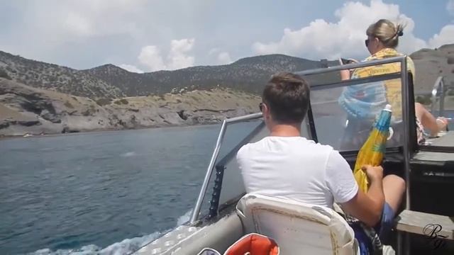 Дельфины в Крыму