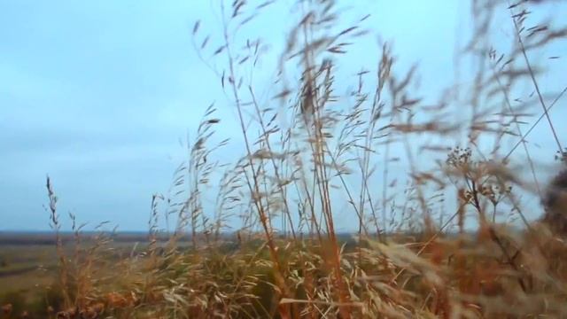 OYME - Tyushtya's song /Madison World Music Festival 2020/