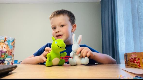 Посылка с игрушками.