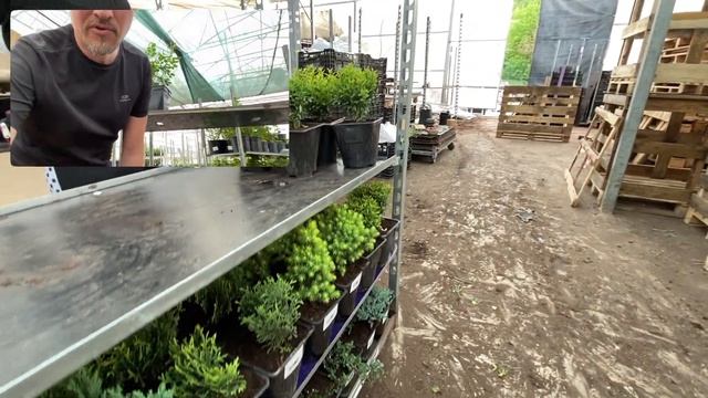 Как мы перевозим растения по питомнику и как отгружаем клиентам