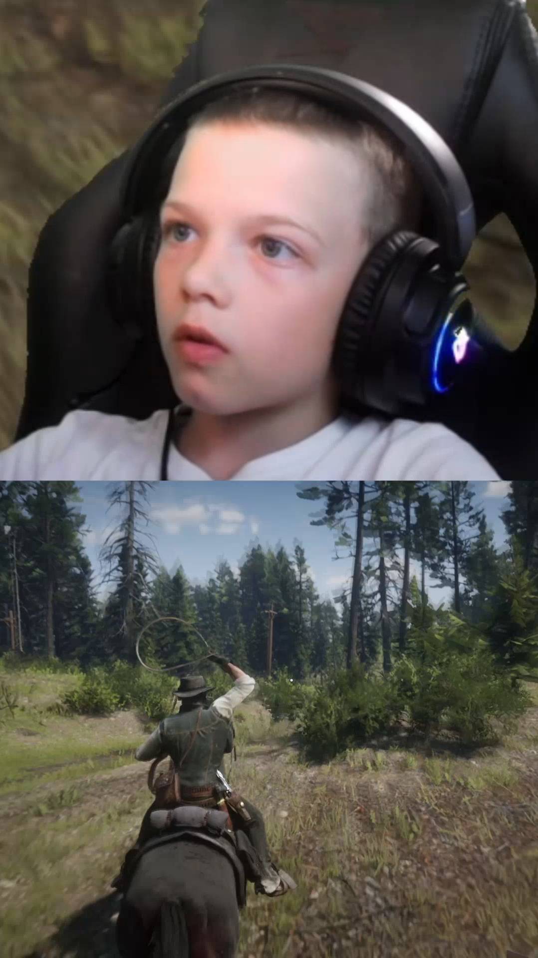 ПРОФИ В ЛАССО