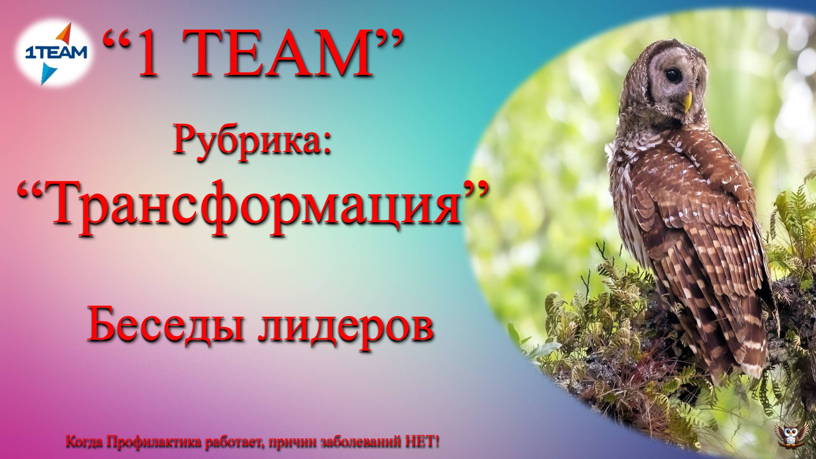 Команда 1TEAM. Встреча с О. Блиновой. 12.10.2022 г.