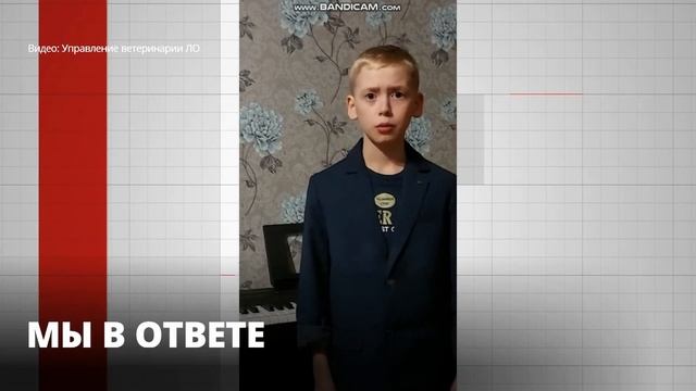 ЛенТВ24. В День защиты детей стартовал флэшмоб "Мы в ответе"