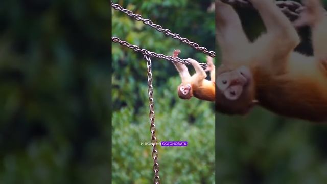 Не могу медитировать. У меня слишком беспокойный ум. Медитация не для меня?