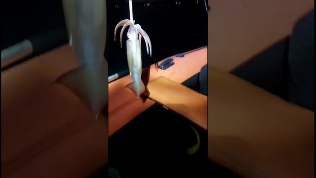 Ловля кальмара на воблер 100 мм 27 гр от Mr. Musurok