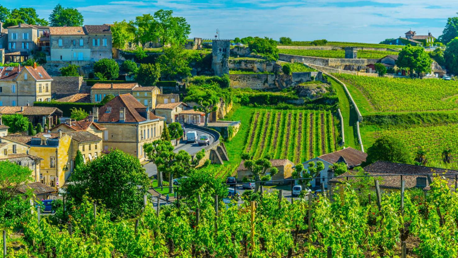 Винодельческий район Сент-Эмильон,Франция.