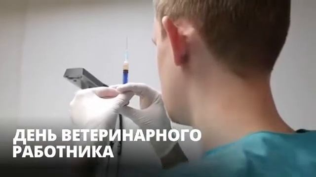 Ленинградские ветеринары презентовали книгу в профессиональный праздник