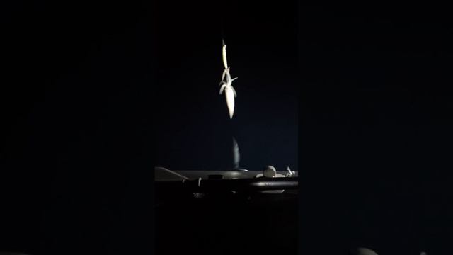 Ловля кальмара на воблер 110 мм 17 гр от Mr. Musurok