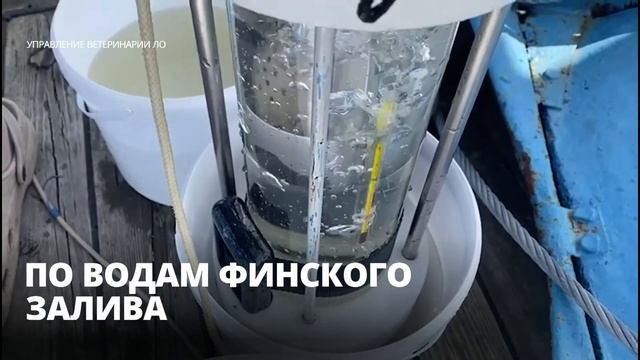 Стартовала первая в этом году экспедиция по изучению вод Финского залива