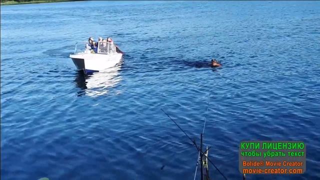 Отдых с роднёй и друзьями на природе в Псковской области.