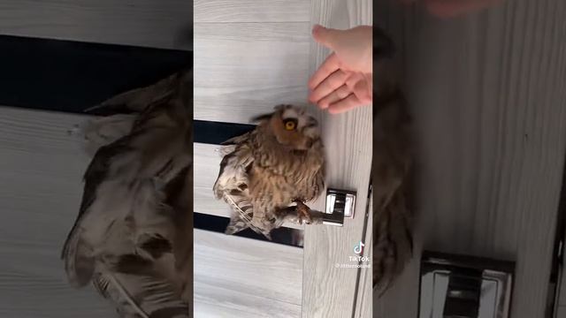 сброс балласта