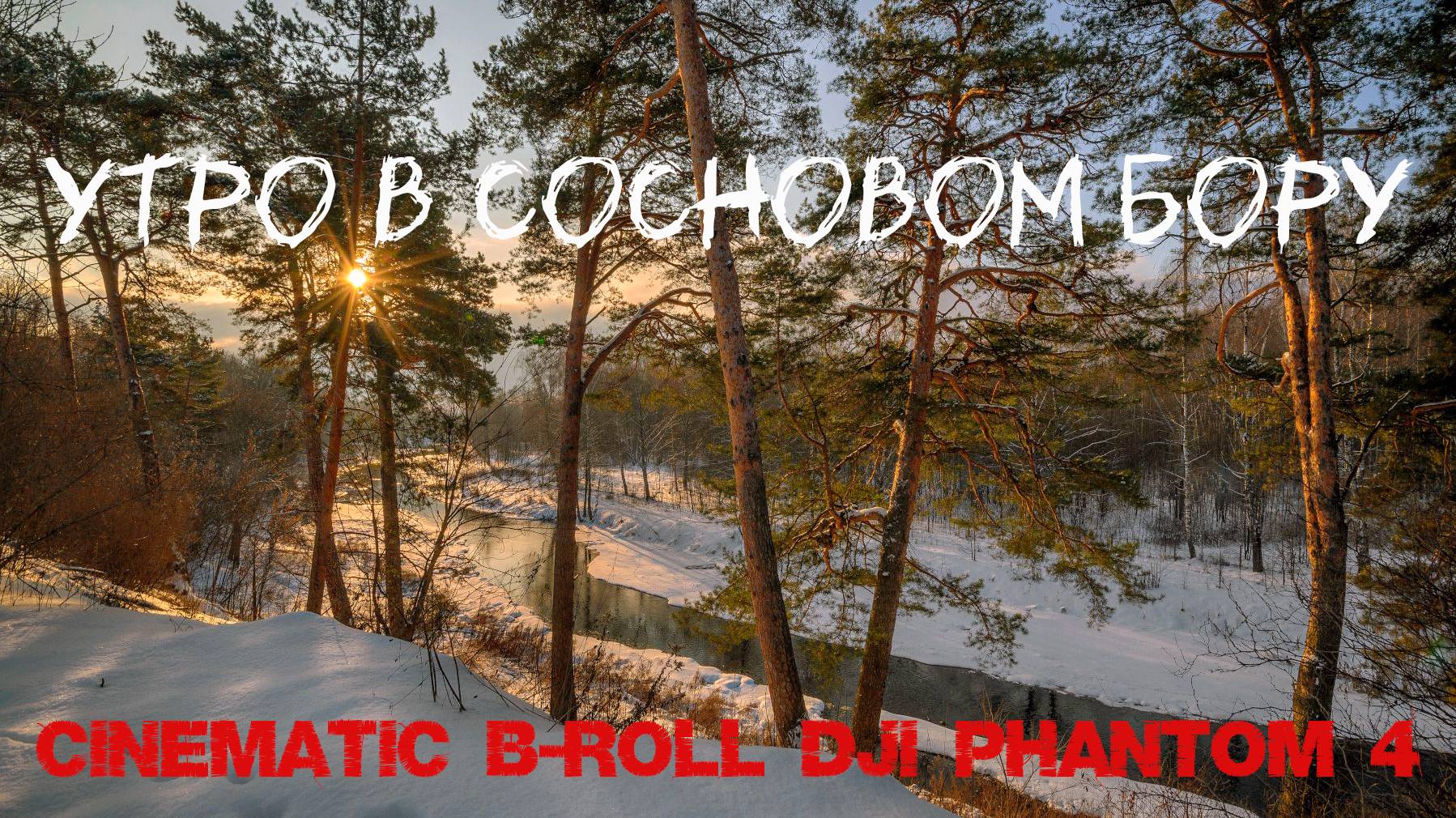 УТРО В СОСНОВОМ БОРУ | CINEMATIC B-ROLL DJI Phantom 4 - видео прогулка.