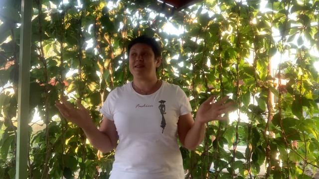 Смотрите на Дзен/Гремячий ключ/ Сергиев Посад/