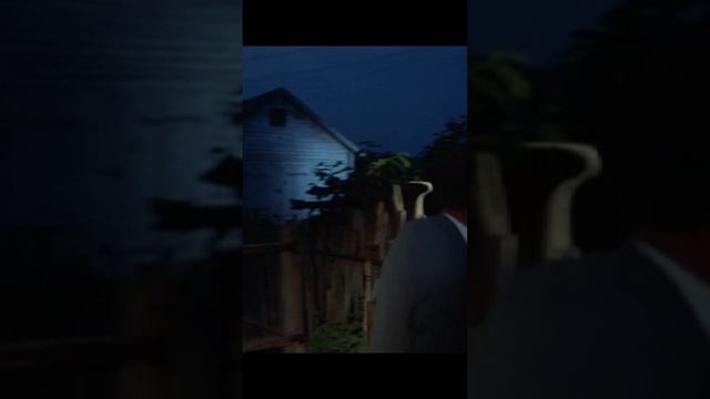 "Это я Петро, Жоржик" Шукшин. К-ф "Калина красная" 1974г. #фильмы #нарезка