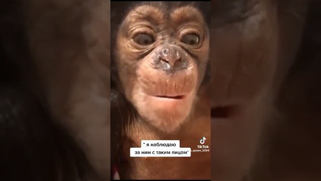 Ну вы поняли кто продавец