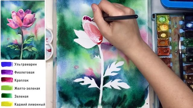 «Цветы. Анемон» как нарисовать АКВАРЕЛЬ | Сезон 2-7 |Мастер-класс для начинающих