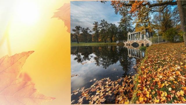 О больная прекрасная осень...