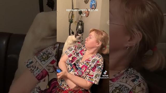 кот не дает ругаться