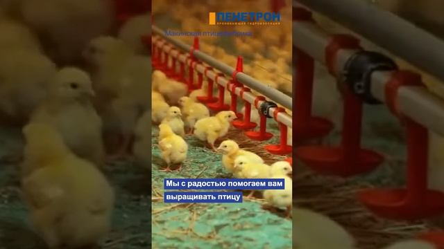 С днем работника АПК! – Пенетрон