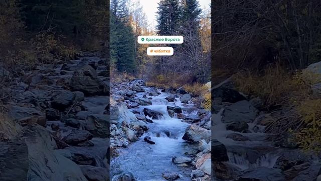 Река Чибитка