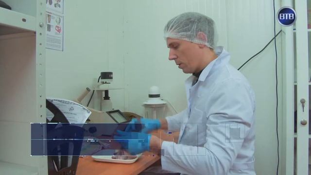 Работа ветврача в убойных пунктах Всеволожского района