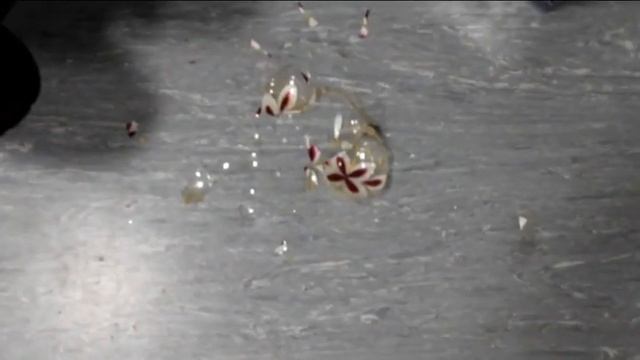 Сотвори чудо